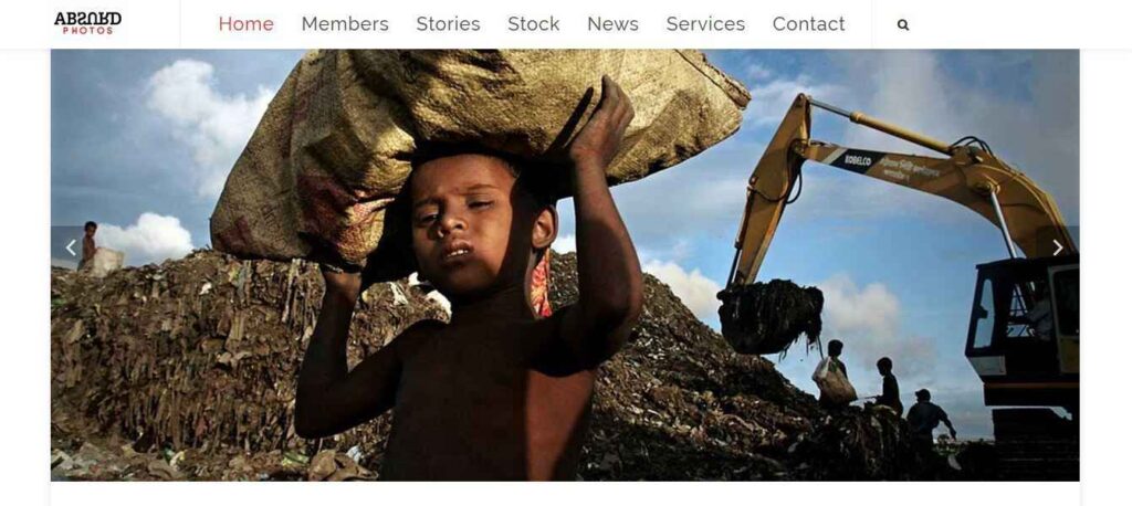 ABSURD PHOTOS - Trends Bird Limited